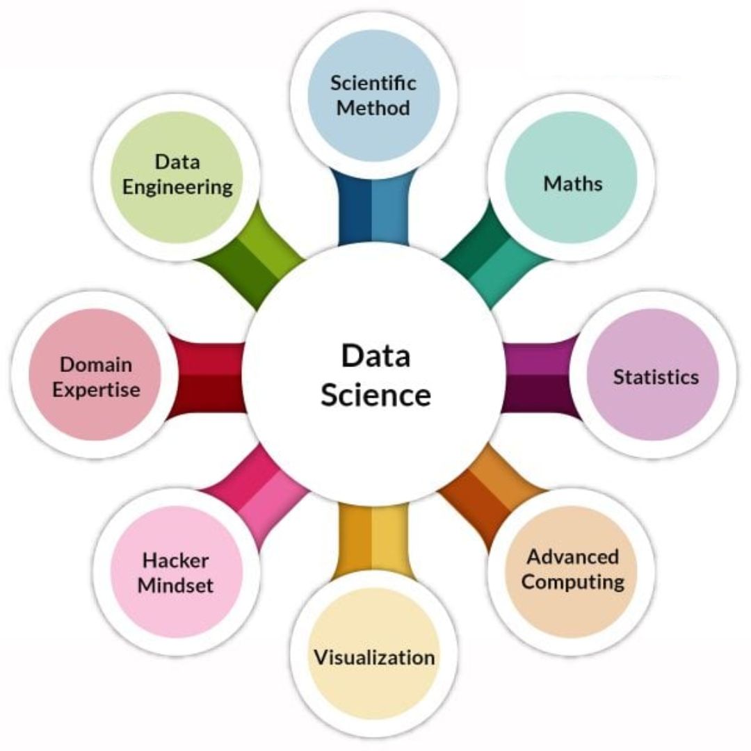 Data Scientist Roadmap for 2024-A Complete Guide | Dv Analytics